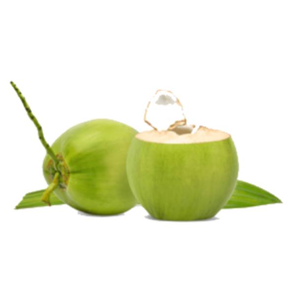 Natural Fresh Young Coconuts - VnCommEx