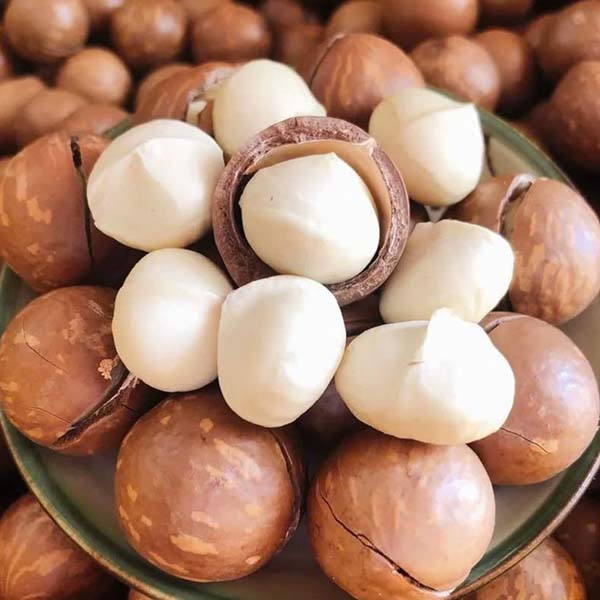 Macadamia Nut Premium Grade | Raw, Peeled - VnCommEx